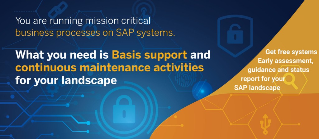 SAP BASIS Support – An Exclusive webinar for SAP users
